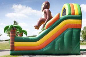 Mega Monkey (Slide) - Crazyair