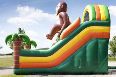 Mega Monkey (Slide) - Crazyair